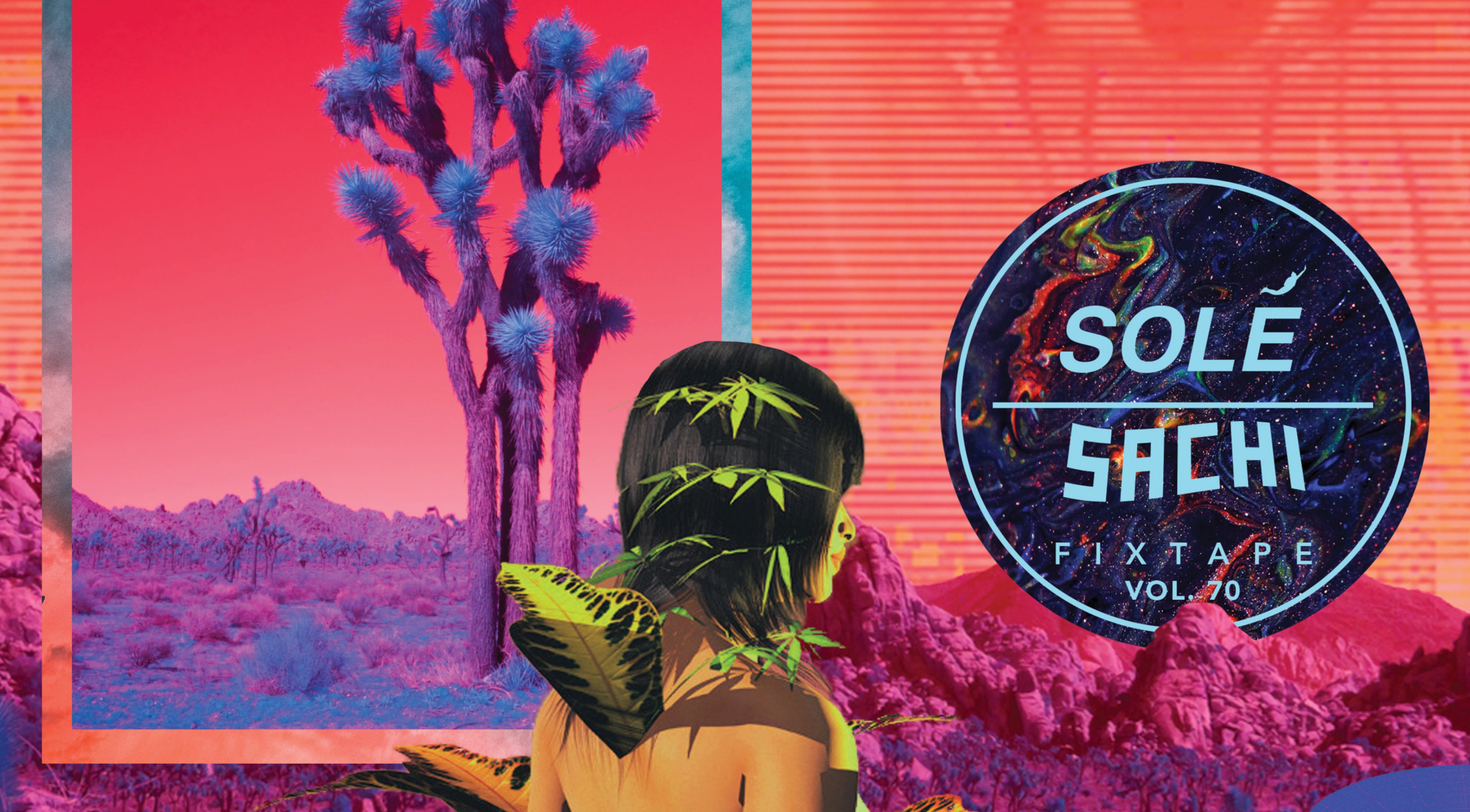 Solé Bicycles 🚲 Single Speed & Fixed Gear Bikes | $399 Bikes for Sale